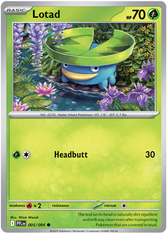 Lotad 005/094 Common Pokemon Card (Mega Evolution Phantasmal Flames ...