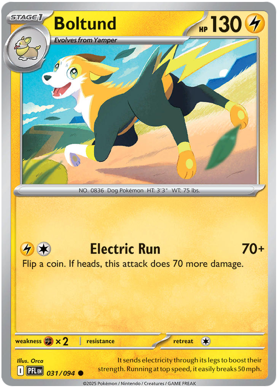 Boltund 031/094 Common Pokemon Card (Mega Evolution Phantasmal Flames ...