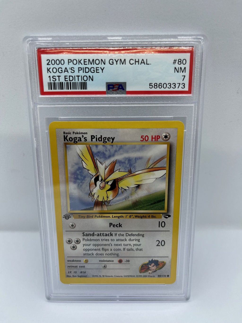PSA Graded Pokemon Cards | Titan Cards — Titan Cards Ltd