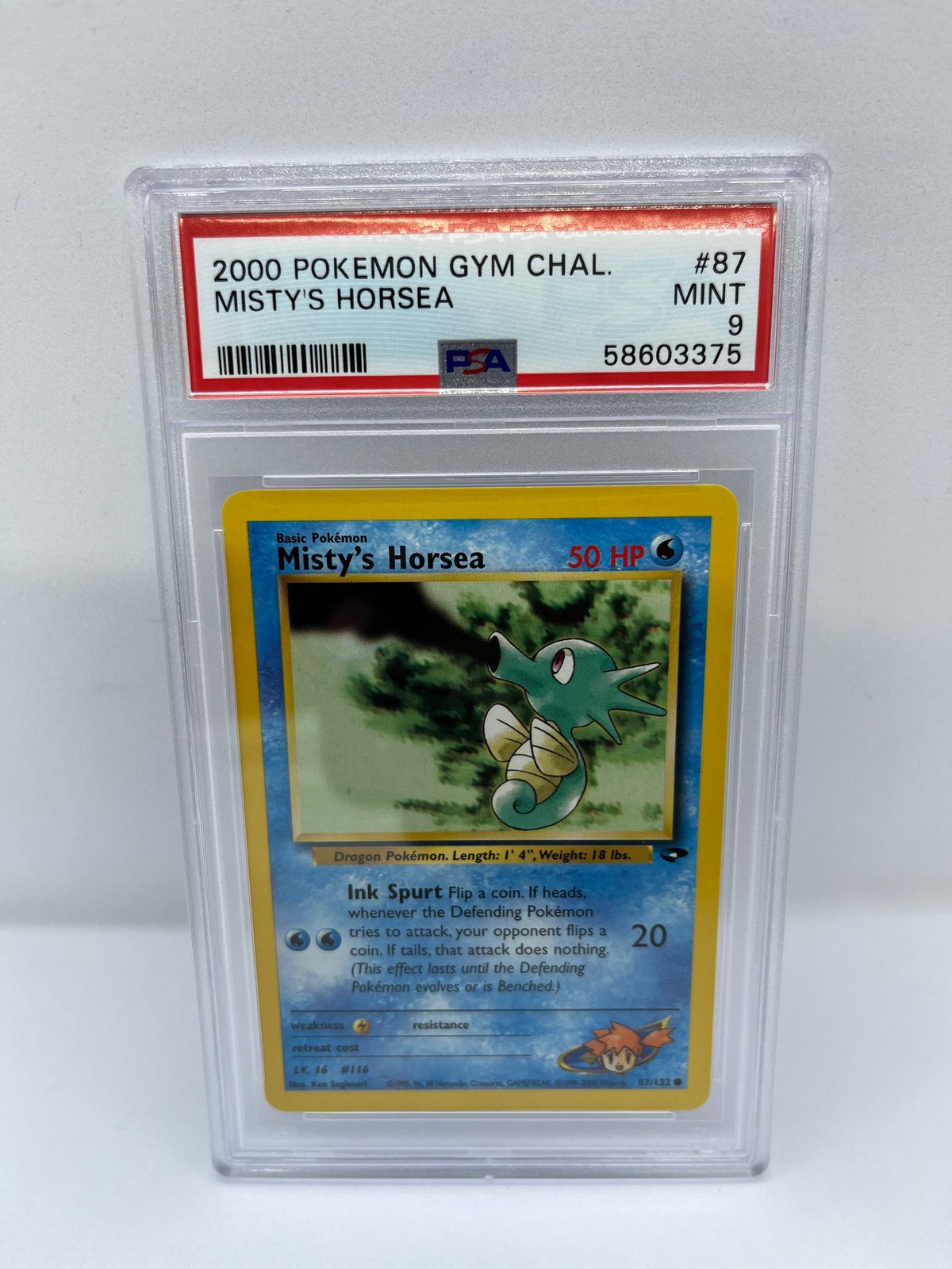 Misty's Horsea 87/132 PSA 9 Graded Common Pokemon Card (2000 Pokemon G ...