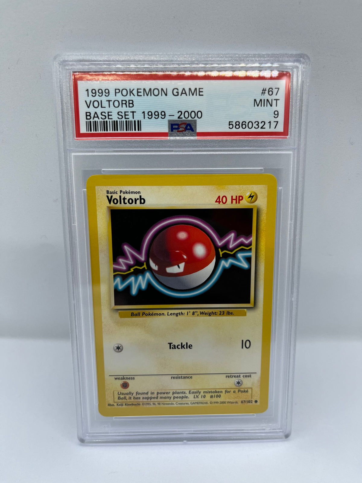 Voltorb 67/102 PSA 9 Graded Common Pokemon Card (1999 Pokemon Game ...